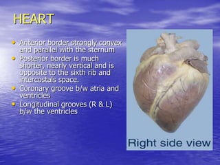 Circulatory System.ppt