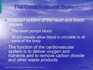 Circulatory System.ppt