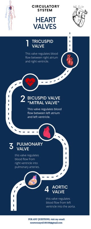Heart Valves Info-graphic | PDF