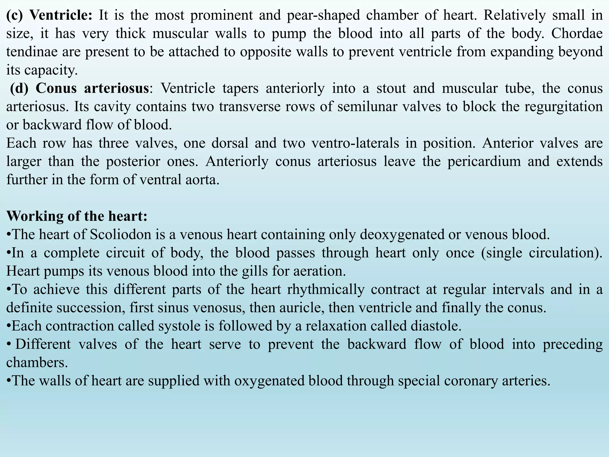 Circulatory system.pptx