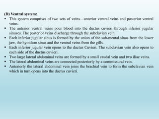 Circulatory system.pptx