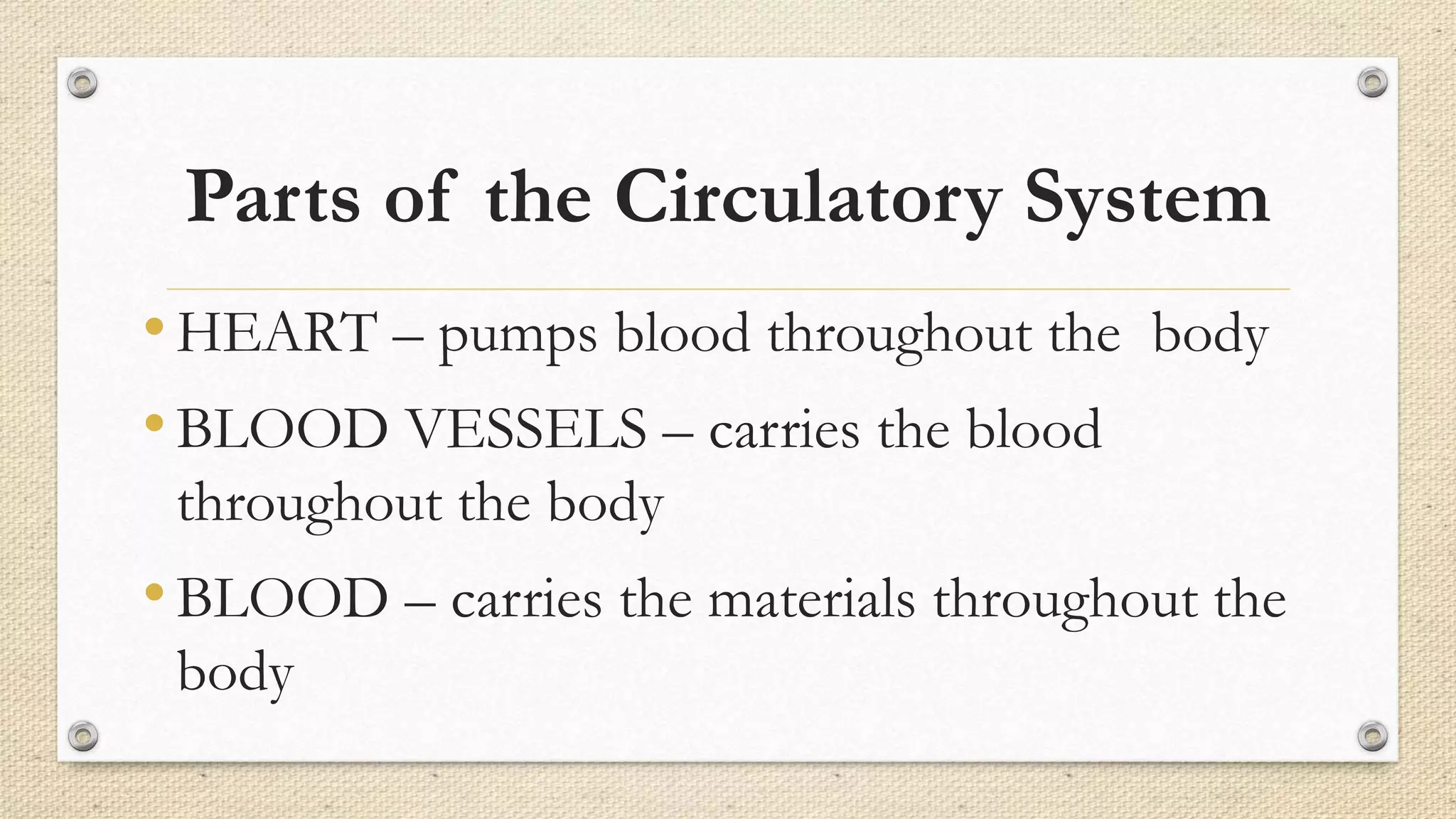 CIRCULATORY SYSTEM.pptx