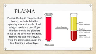 CIRCULATORY SYSTEM.pptx