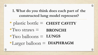 CIRCULATORY SYSTEM.pptx