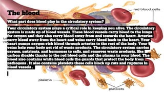 Circulatory System featuring blood heart and compositions | PPT