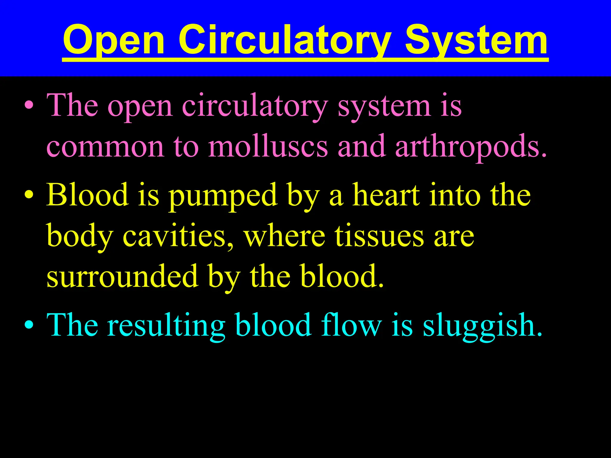 CIRCULATORY SYSTEM, Blood, heart and blood vessels.ppt