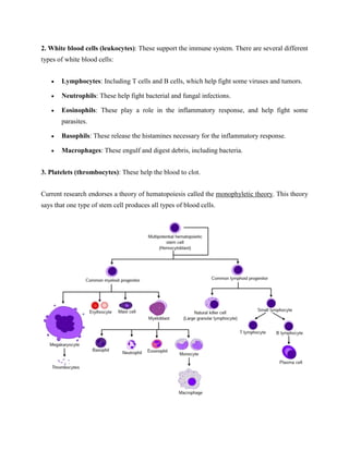 Blood Circulatory System in Human Body. docx | DOCX | Blood Disorders ...