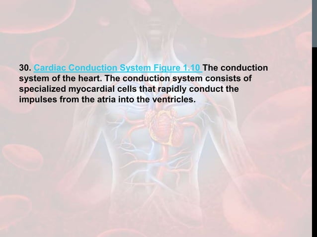 circulatory system LYMPHATIC SYSTEM AND DETAILS | PPT