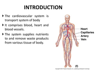 CirculatorySystemAnatomyandPhysiology.pdf | Heart and Cardiovascular ...