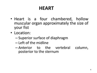 CirculatorySystemAnatomyandPhysiology.pdf | Heart and Cardiovascular ...