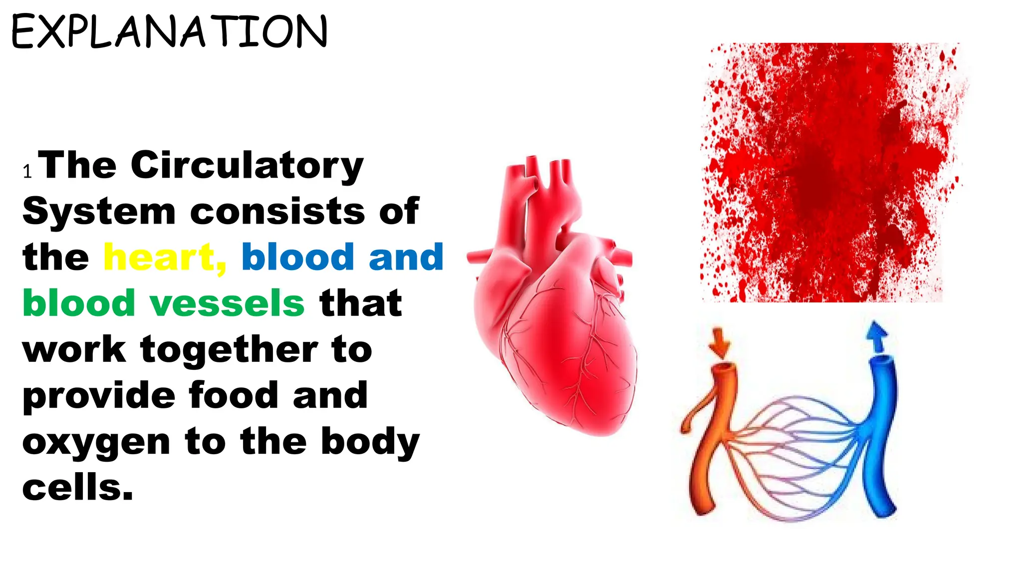 Circulatory System Powerpoint Presentation.pptx
