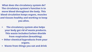 SCIENCE CIRCULATORY SYSTEM OF THE HUMAN LESSON 3 | PPT