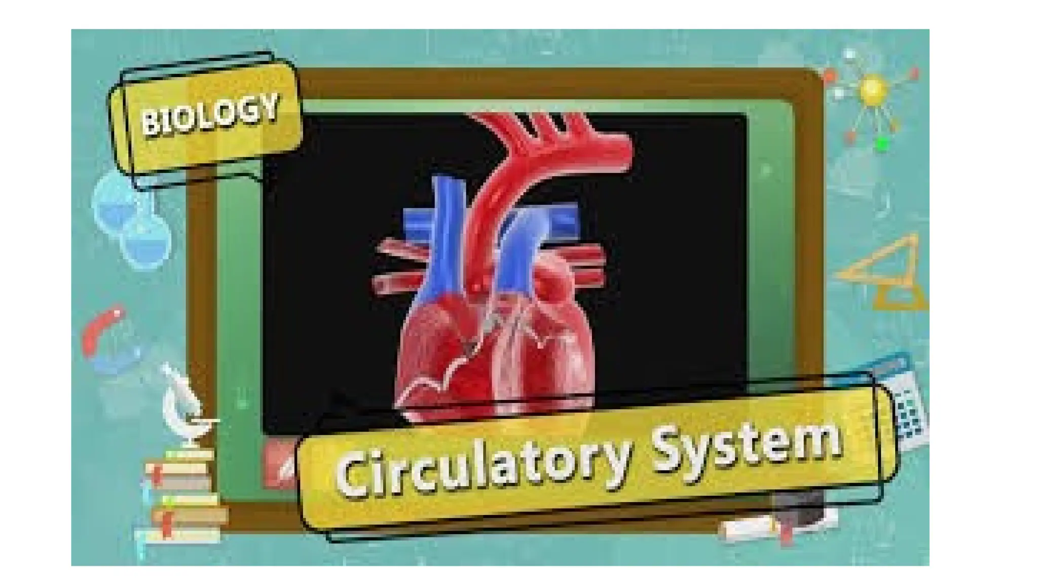 circulatory system.pptxgxmfxjfzrzrruEyUr | PPT