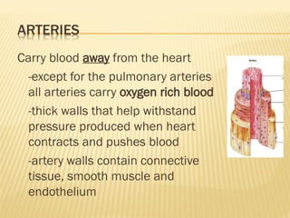 Circulatory System biology science...ppt
