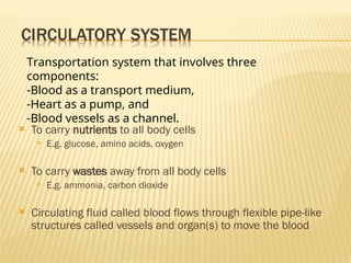 Circulatory System biology science...ppt