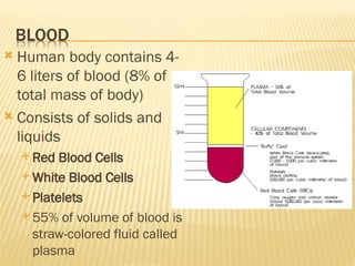 Circulatory System biology science...ppt