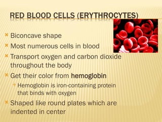Circulatory System biology science...ppt