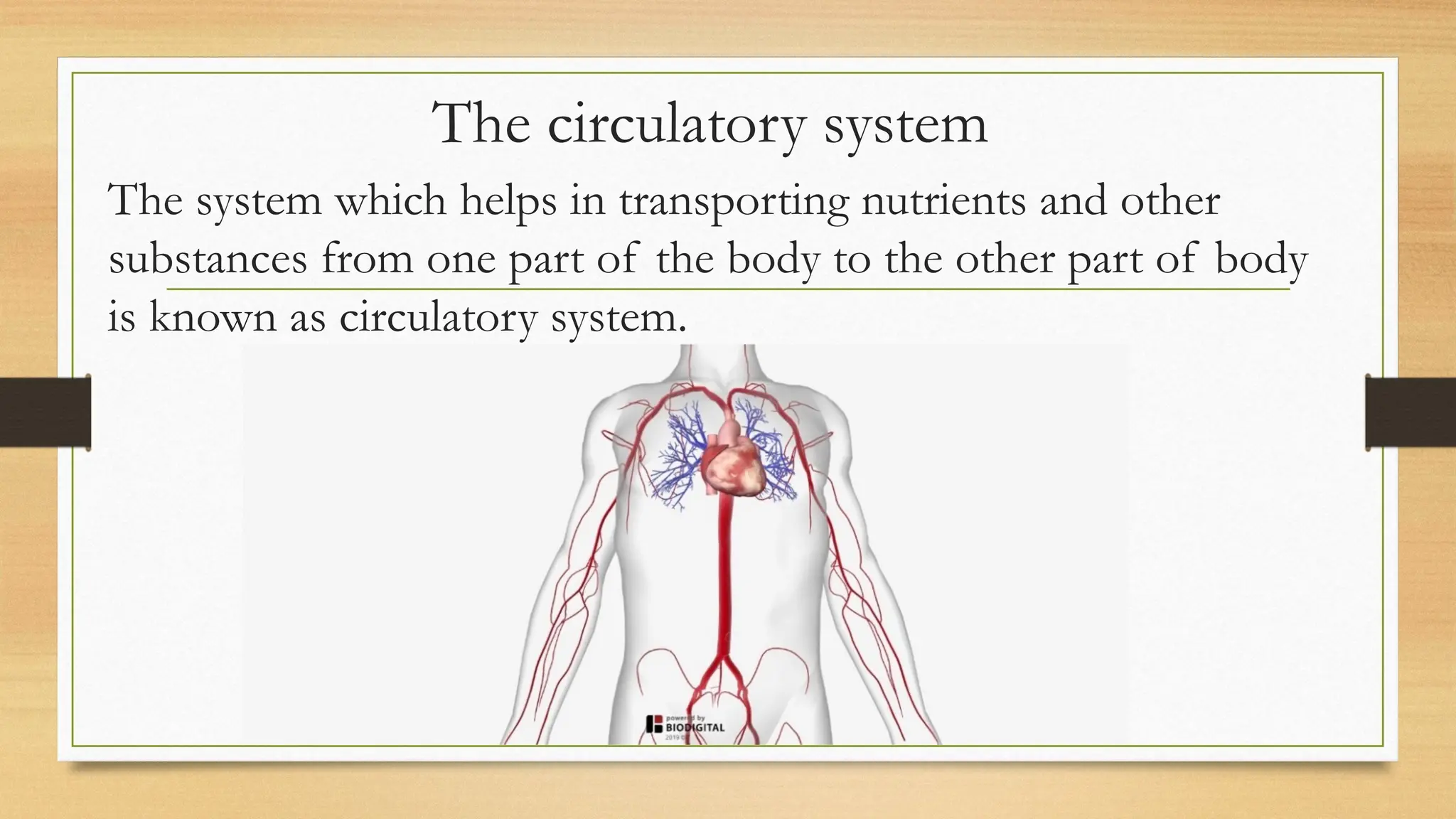 Circulatory system Class 5 Power Point.pptx