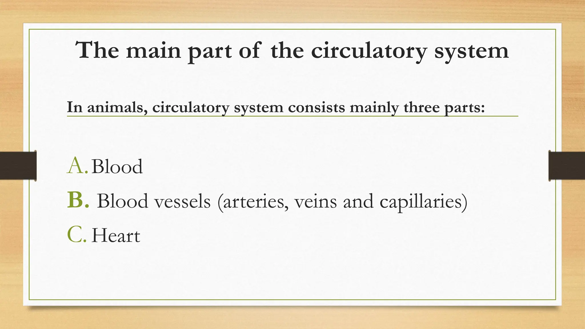 Circulatory system Class 5 Power Point.pptx