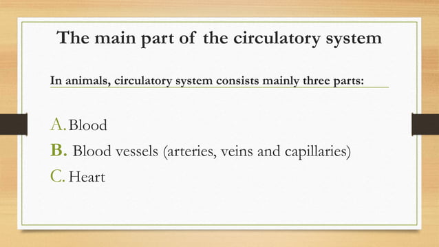 Circulatory system Class 5 Power Point.pptx