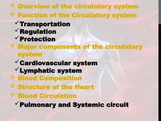 circulatory system, circulation heart ND ITS FUNCTION | PPT