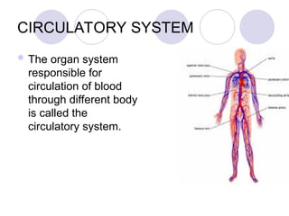 CIRCULATORY SYSTEM, details abiut the parts | PPT