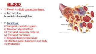 CIRCULATORY SYSTEM in human body with heart.pptx