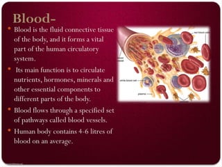 Circulatory system .pptx