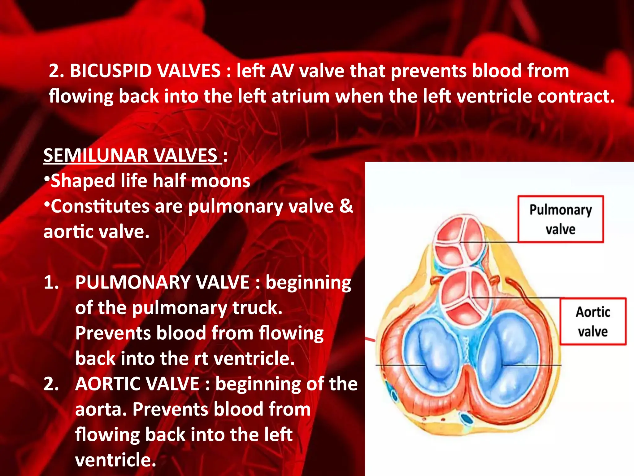 circulatory system.pptx aaaaàaaaaaaaaaaa | PPTX