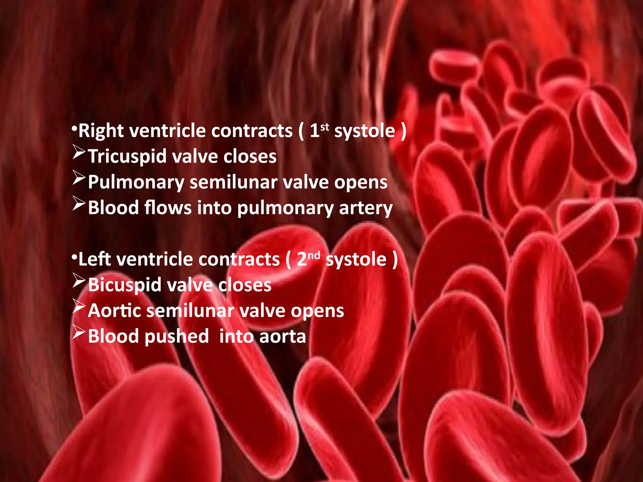 circulatory system.pptx aaaaàaaaaaaaaaaa | PPTX