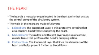 PARTS OF THE CIRCULATORY SYSTEM AND FUNCTIONS | PPTX