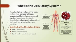 circulatory system power point effective | PPTX
