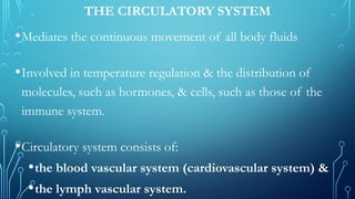 circulatory system Systemic Histology.... | PPTX