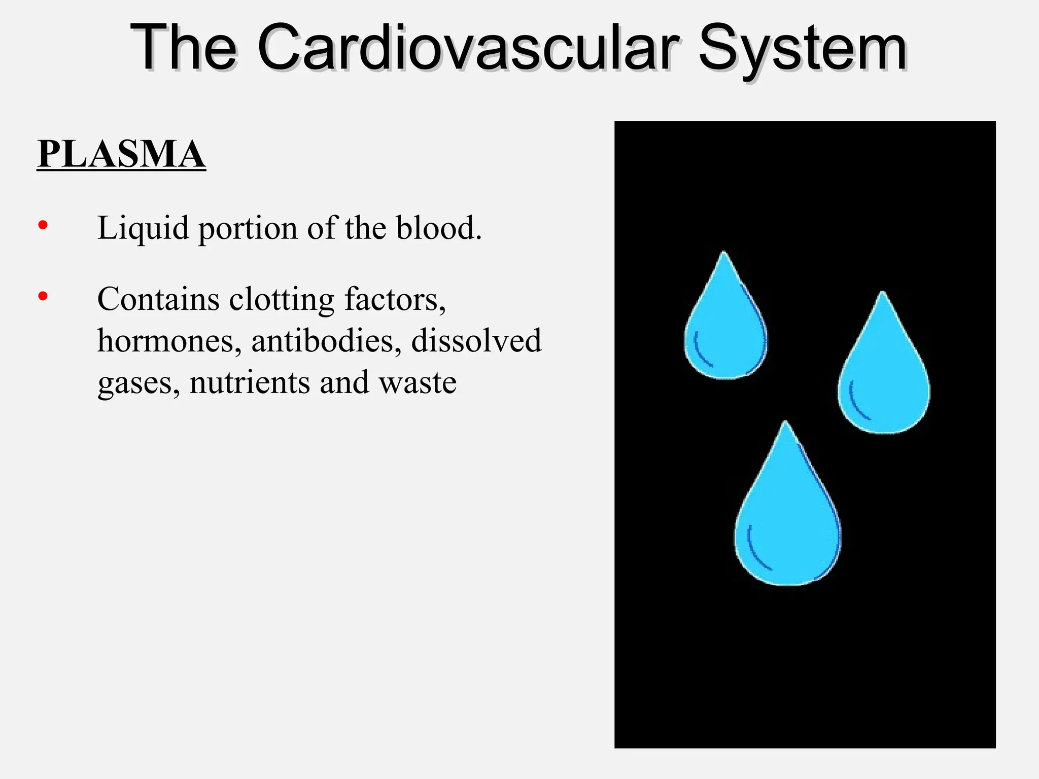 Circulatory System Slideshow - Biology - Cardiovascular System | PPT