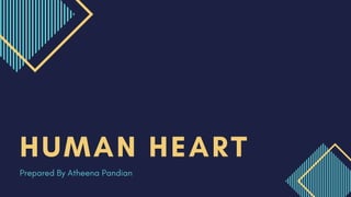 Circulatory system human heart | PPT