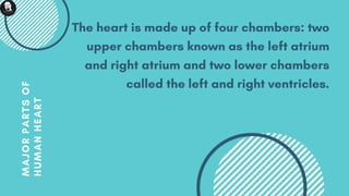 Circulatory system human heart | PDF