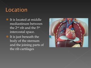 Circulatory System | PPT | Heart and Cardiovascular Diseases | Diseases ...
