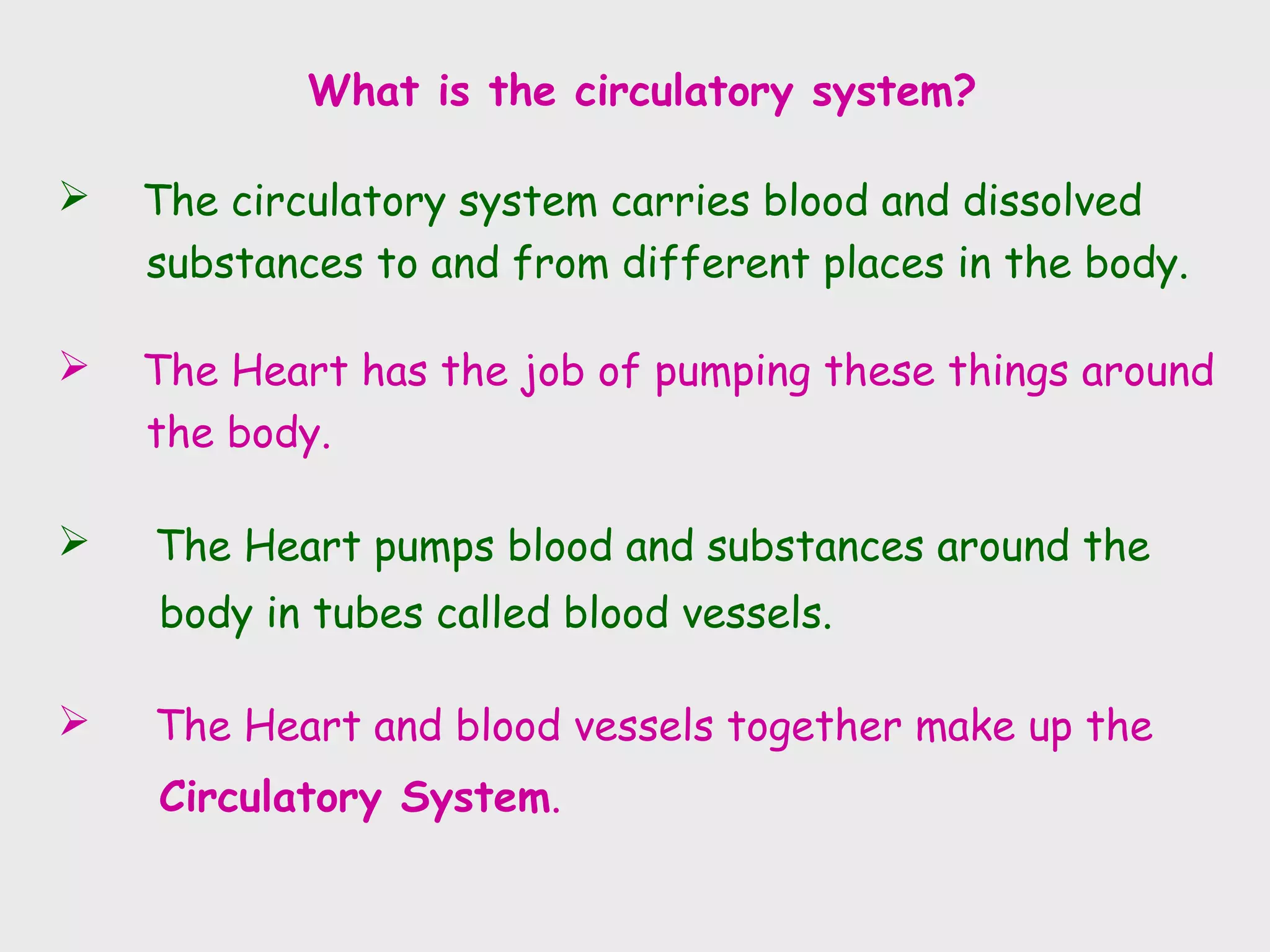 Circulatory system (1) | PPT