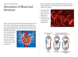 Circulatory System | PDF