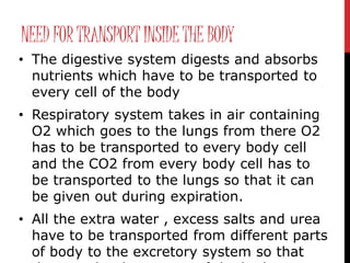 Circulatory system | PPTX