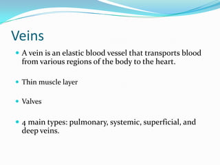 Circulatory system - Blood Vessels and Lymph fluid | PPTX