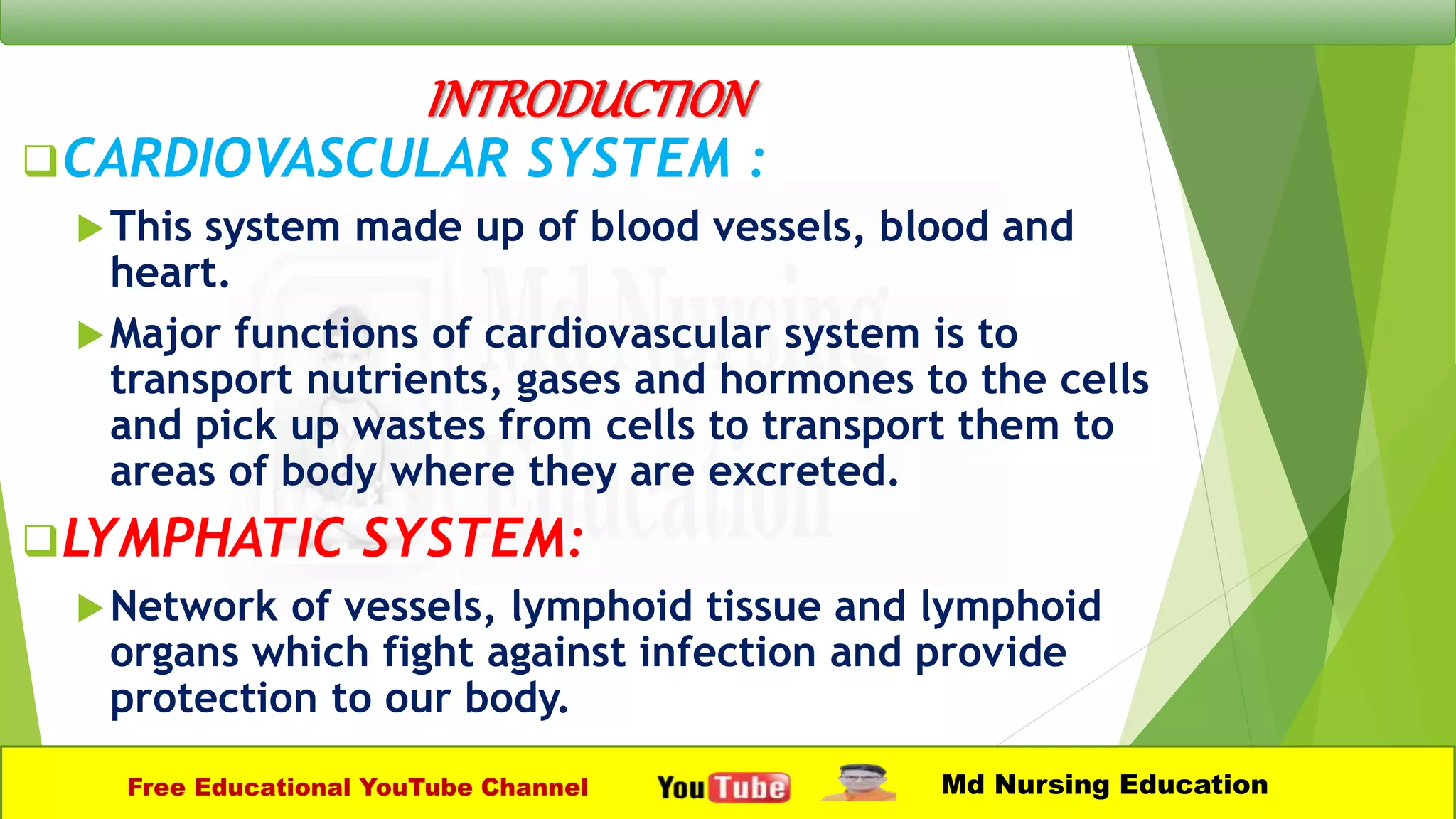 Circulatory system (2).pptx / Cardiovascular system / All About Human ...