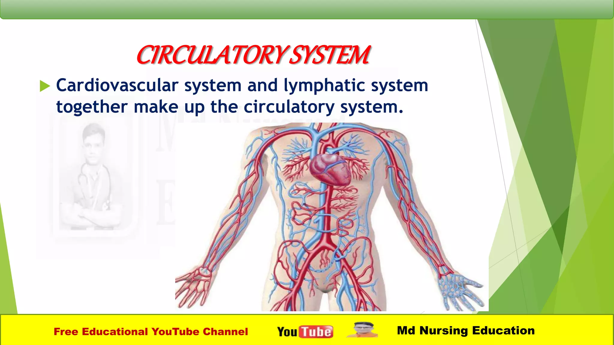 Circulatory system (2).pptx / Cardiovascular system / All About Human ...