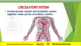 Circulatory system (2).pptx / Cardiovascular system / All About Human ...