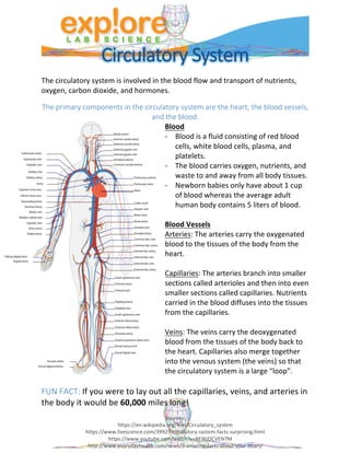 Circulatory_System2.pdf.kndonmmmmmmmmmmmmmmmmmmmm | PDF