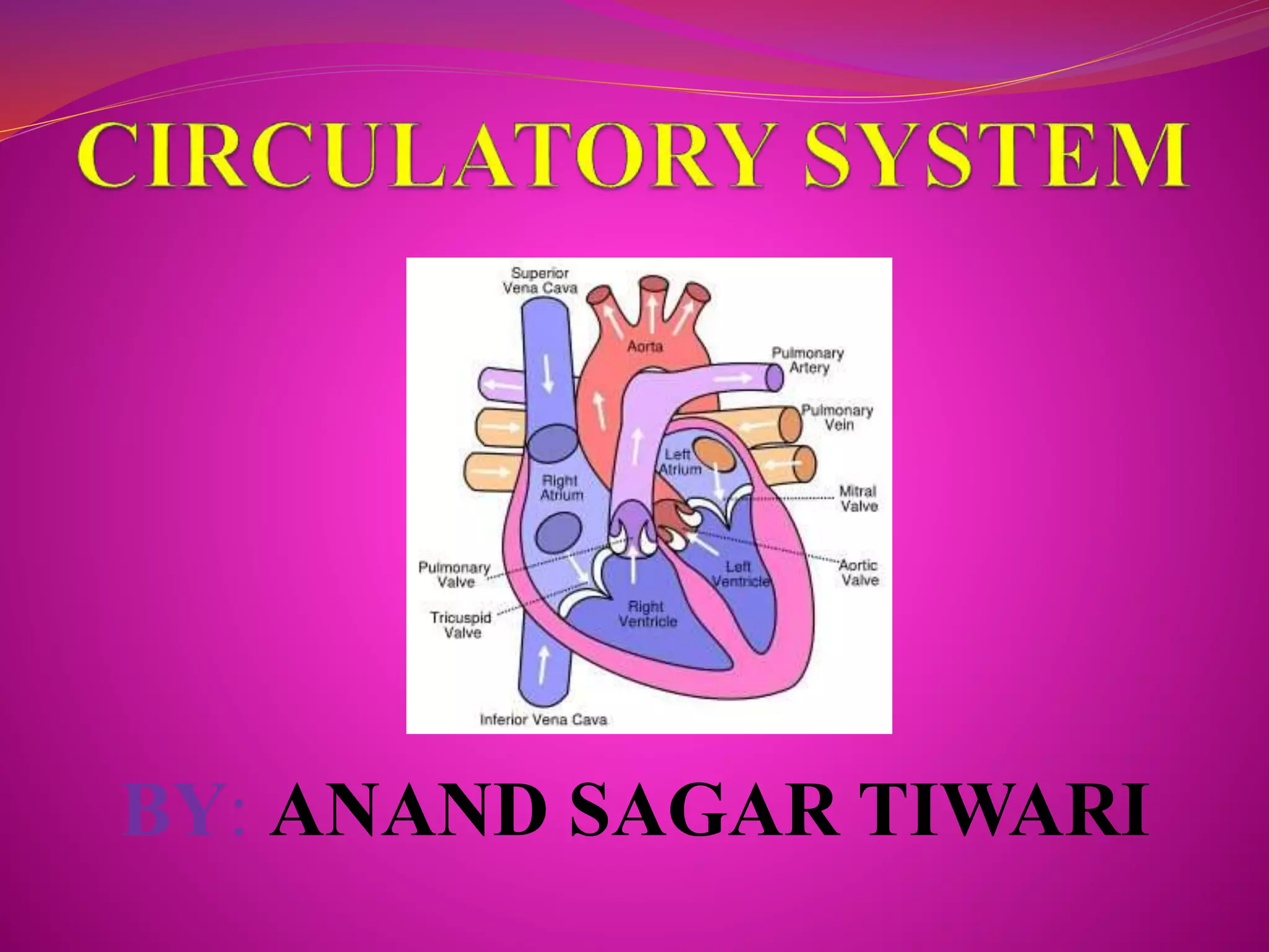 CIRCULATORY SYSTEM | PPTX