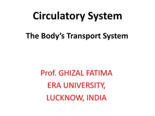 Circulatory system 7-8 | PPT