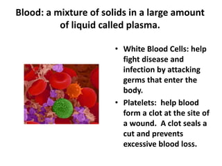 Circulatory system 7-8 | PPT