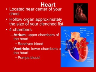 Circulatory_Systemand_Respiratory_System.ppt