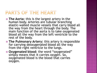 Circulatory system aswathi | PPTX